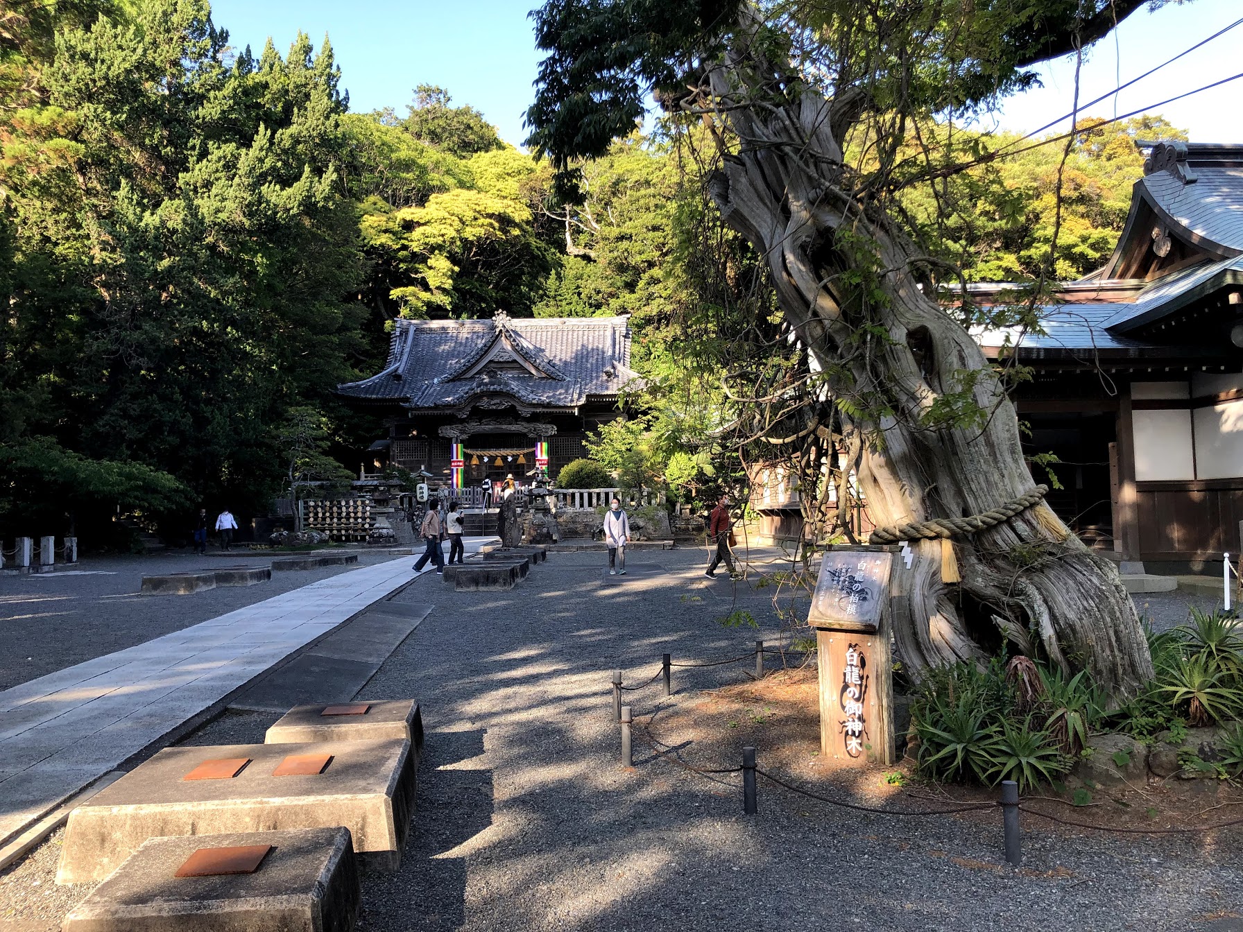 Shirahama Shrine Beach Tori Gate